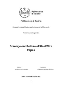 Damage and failure of steel wire ropes - Webthesis